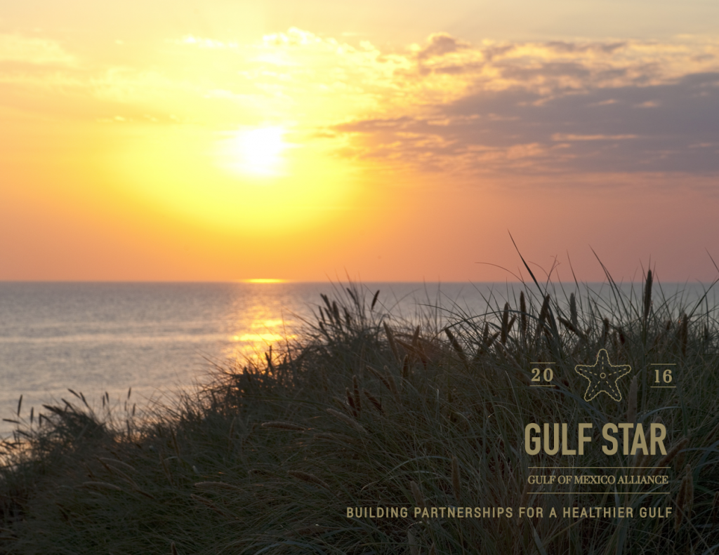 Gulf Star - Gulf of America Alliance