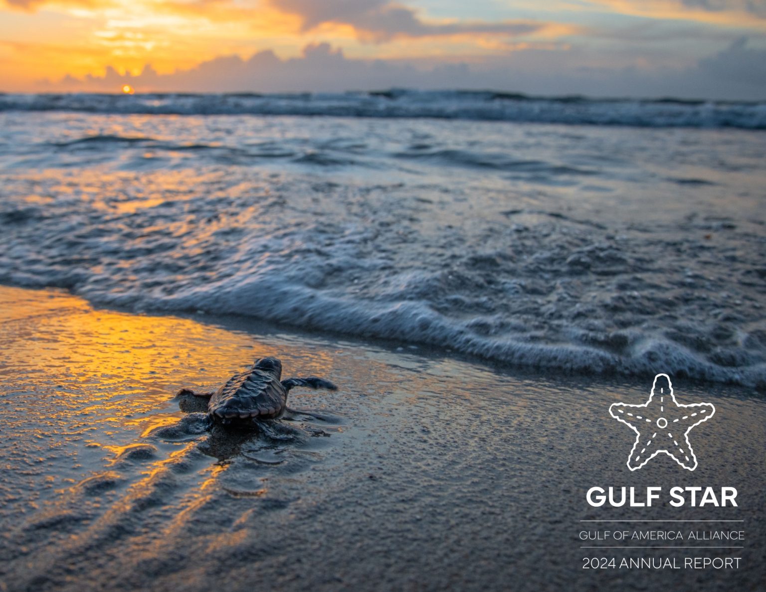 Gulf Star - Gulf of America Alliance